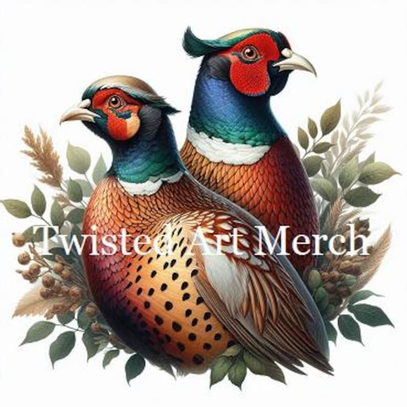 Pheasant Bird Clipart - 10 Pheasant Jpgs - 3000 X 3000px - Digital ...
