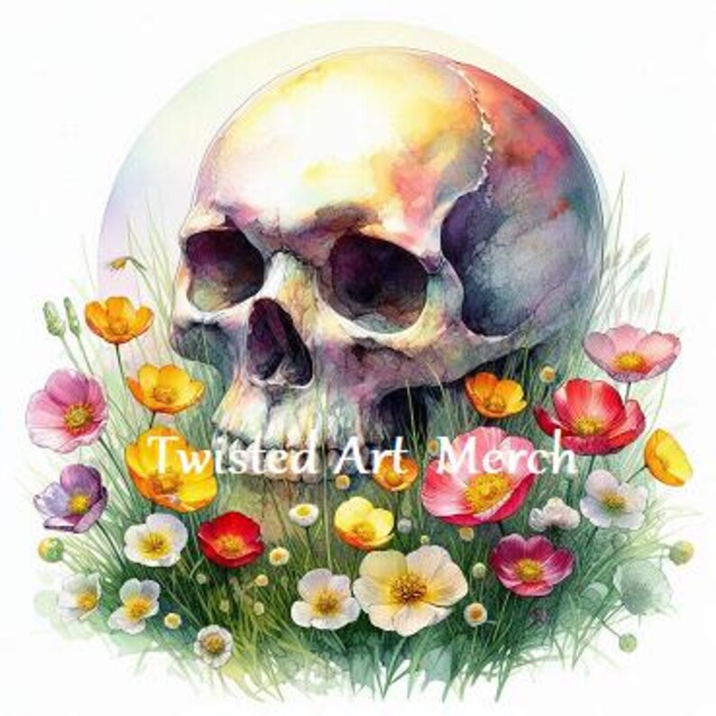 Skull and Floral Clipart: Butterfly, Dragonfly, Ladybug (digital ...