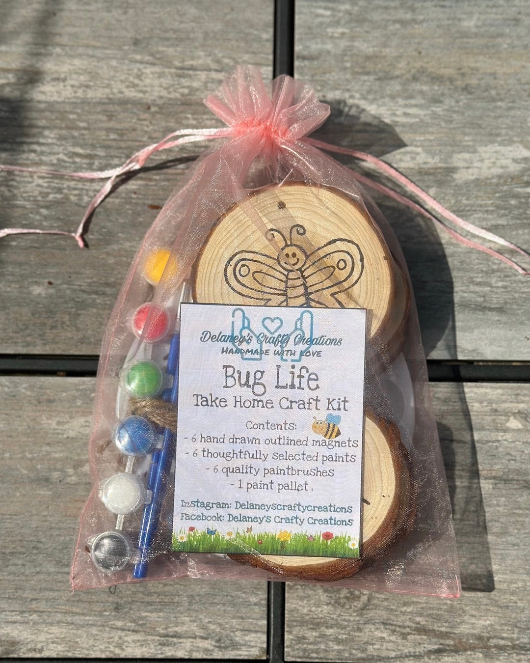 Bug Life Craft Kit - Etsy