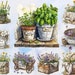 Cottagecore Medicinal Herbs Clip Art - 300dpi Pngs - Botanical Plants ...