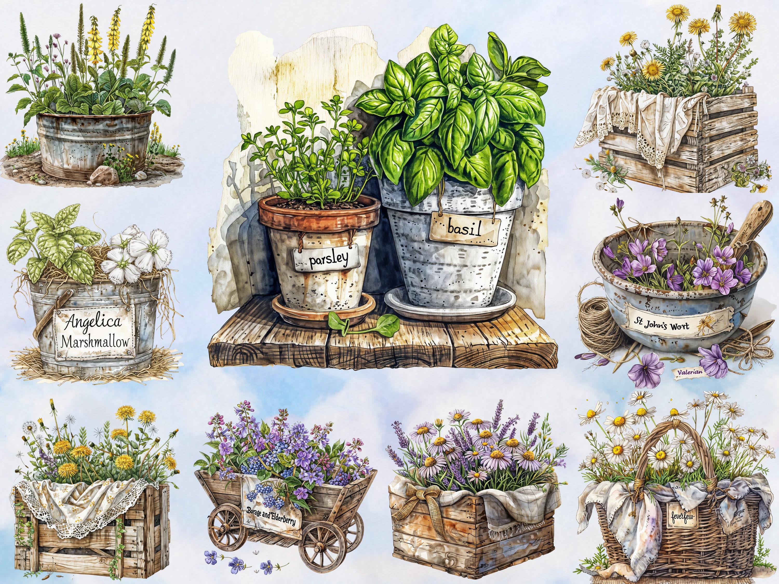 Cottagecore Medicinal Herbs Clip Art - 300dpi Pngs - Botanical Plants ...