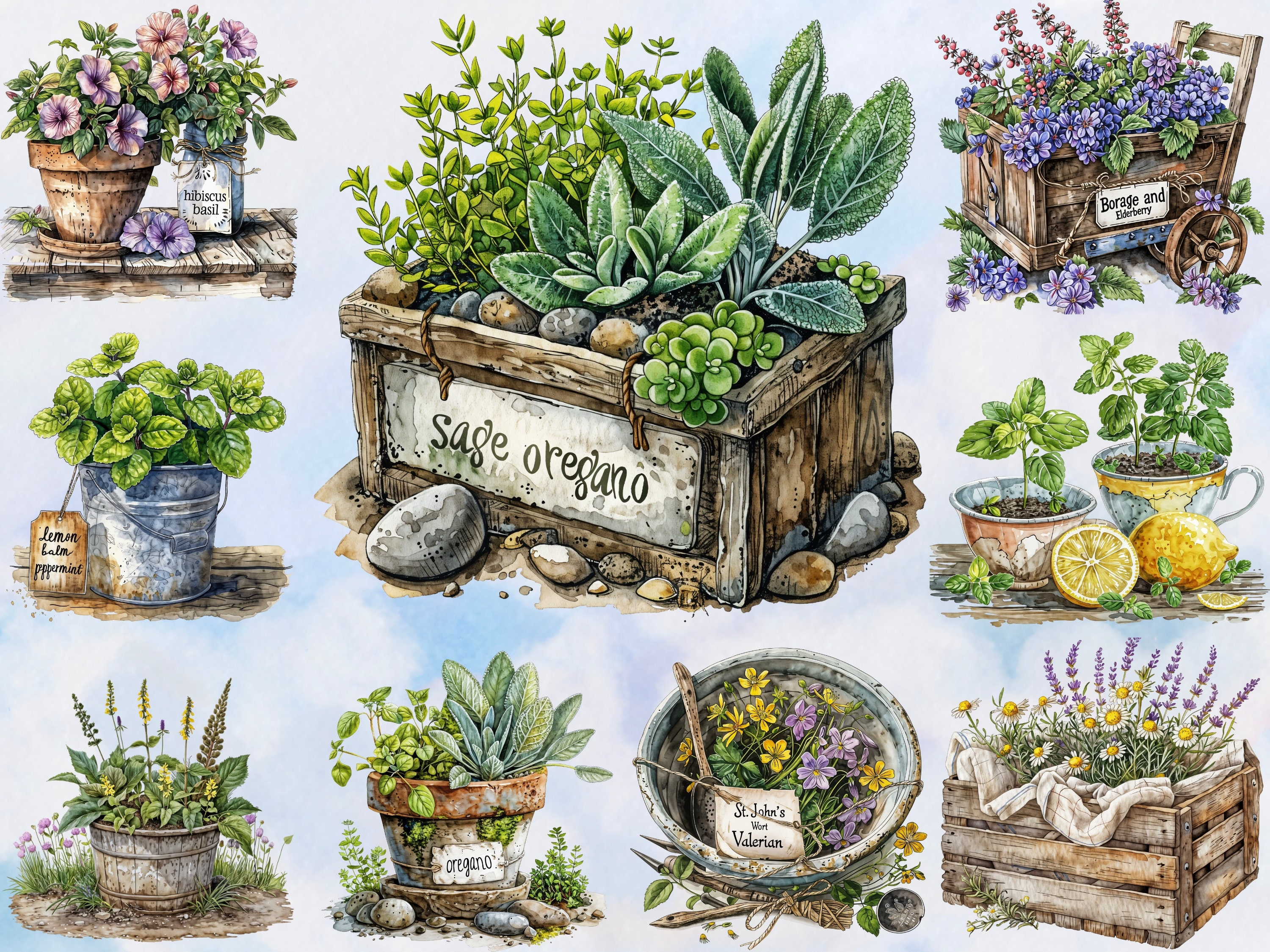 Cottagecore Medicinal Herbs Clip Art - 300dpi Pngs - Botanical Plants ...