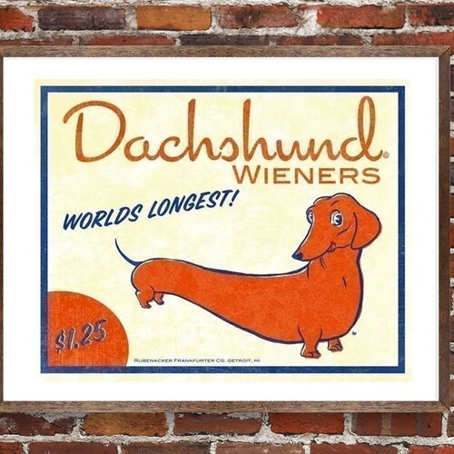 Dachshund Vintage Hot Dog Label Art Dachshund Gift Dachshund - Etsy