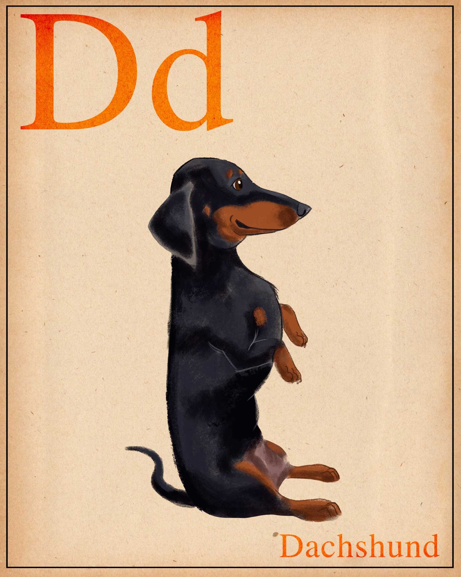 Dachshund Art Print Dachshund Flash Card Print Dachshund Dog - Etsy