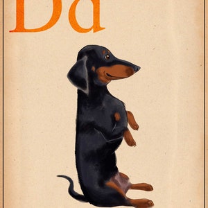 Dachshund Art Print, Dachshund Flash Card Print- Dachshund Dog Art ...