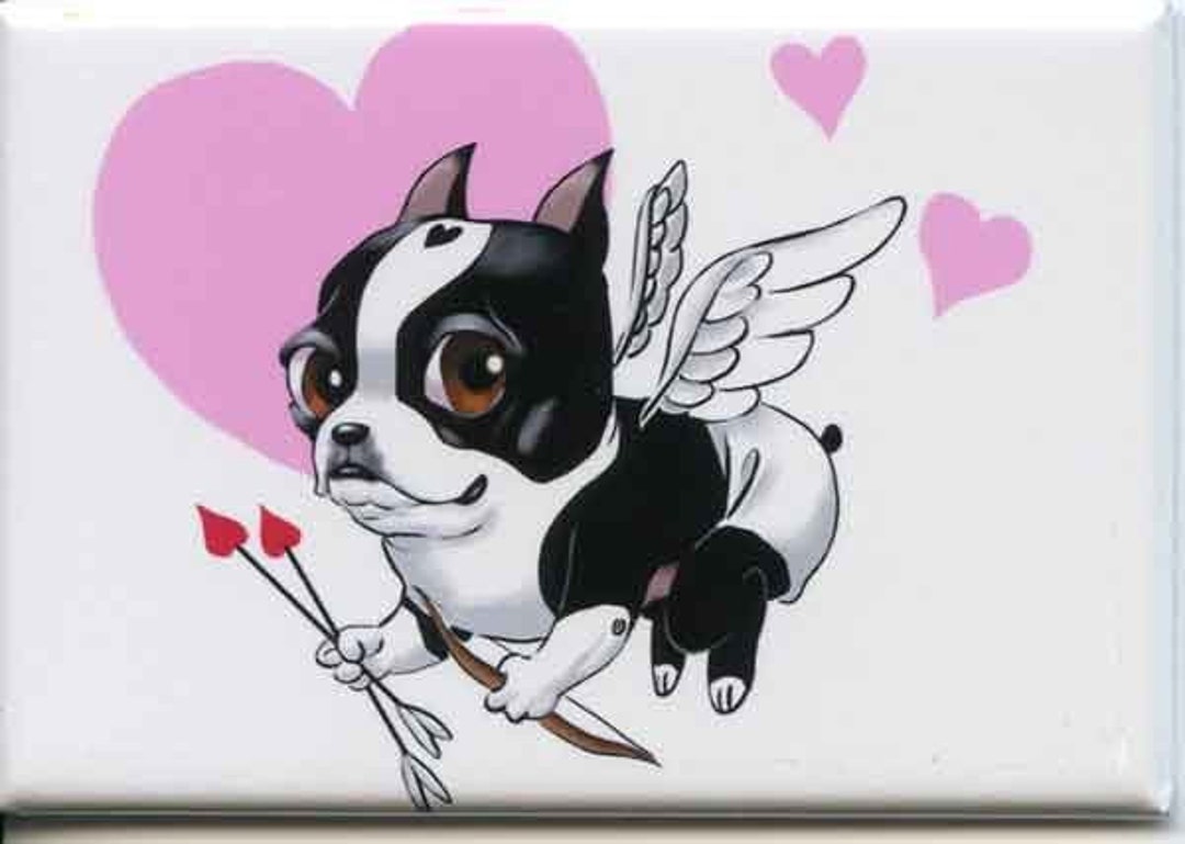 Boston Terrier Cherub Dog Art Love Magnet, Boston Terrier Gift, Boston ...