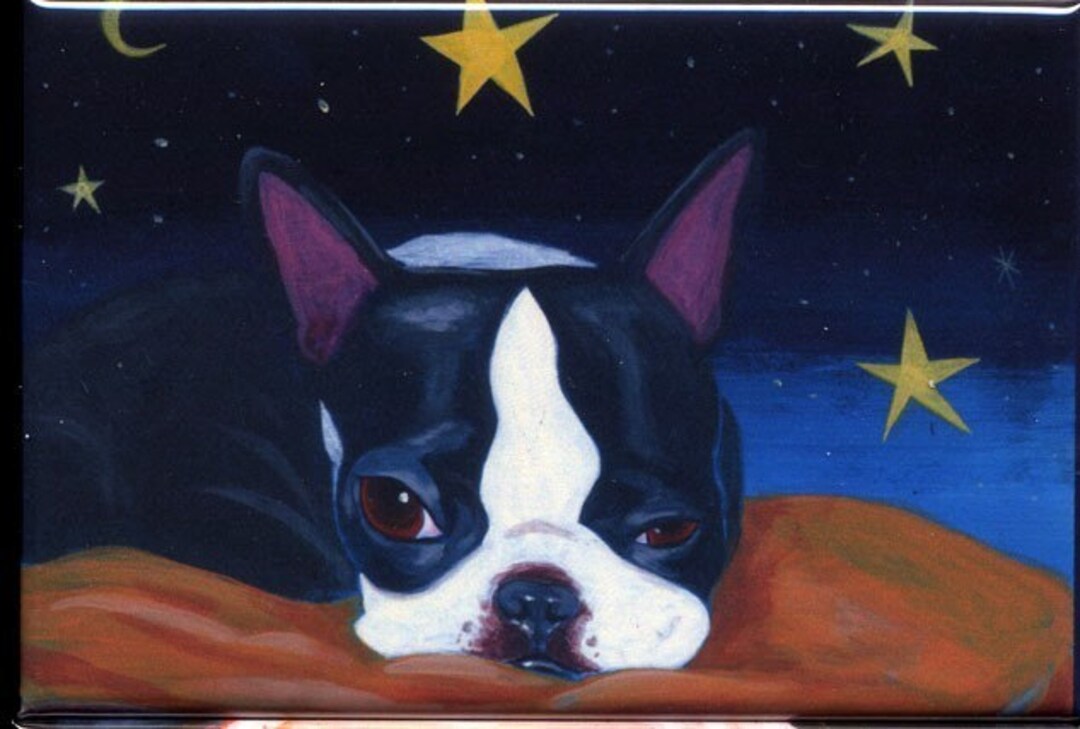 Boston Terrier Sleepy Time Dog Art Magnet, Boston Terrier Gift, Boston ...