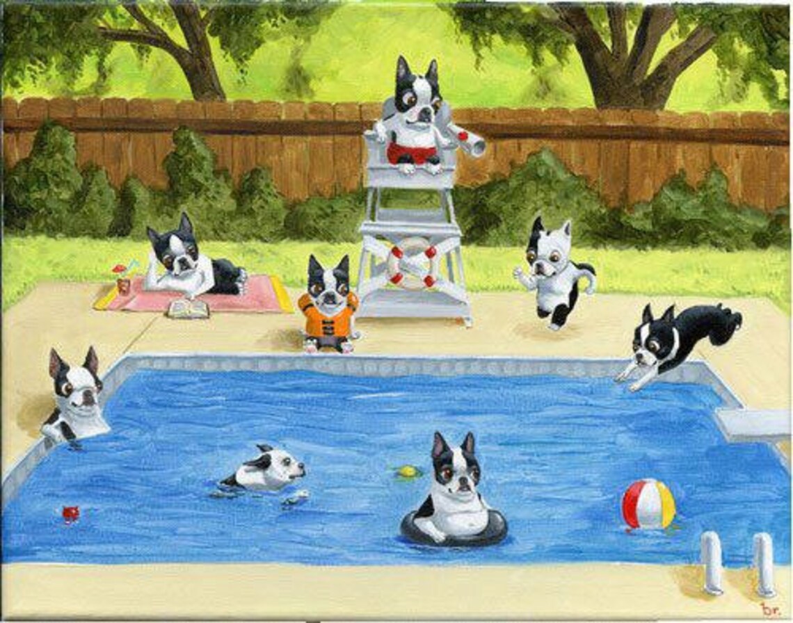 Boston Terrier Pool Party Art Print Wall Decor - Etsy