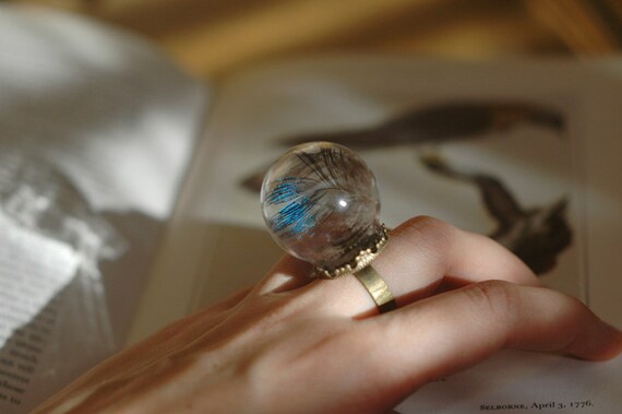 Adjustable ring with iridescent blue peacock feather under a | Etsy