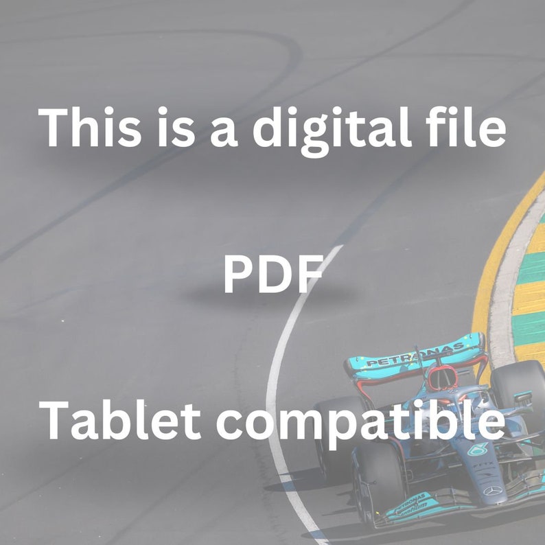 F1 2024 Race Diary Journal Plus - Etsy Australia