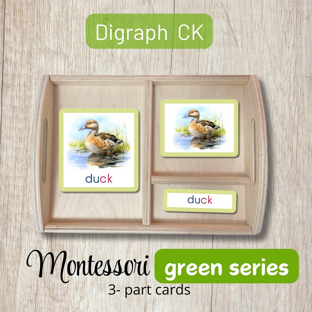 Montessori Green Series Language Cards, Learn to Read Consonant Blends ...