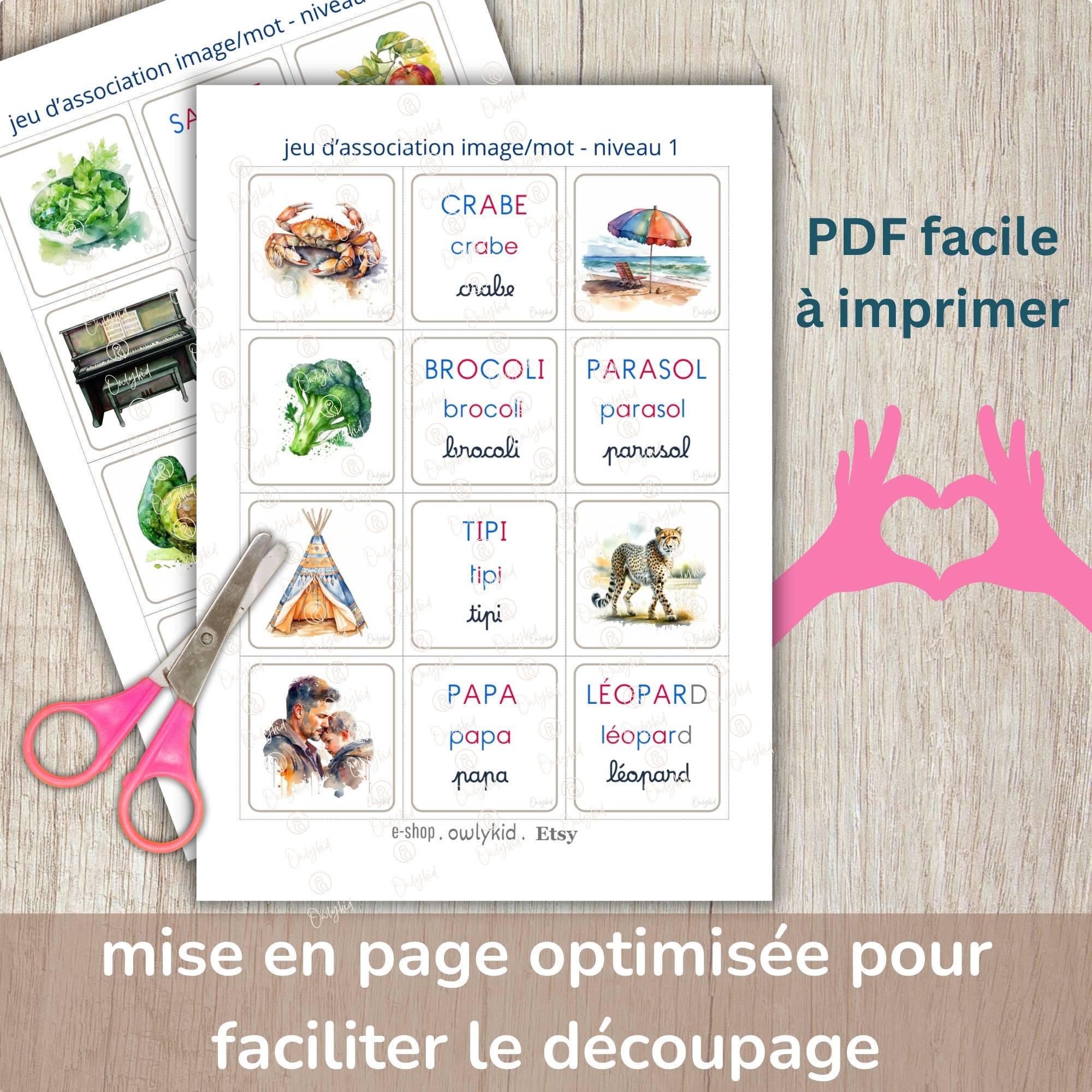 Montessori Reading Cards in French, Phonics Game, Word and Image ...