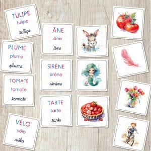 Montessori Reading Cards in French, Phonics Game, Word and Image ...