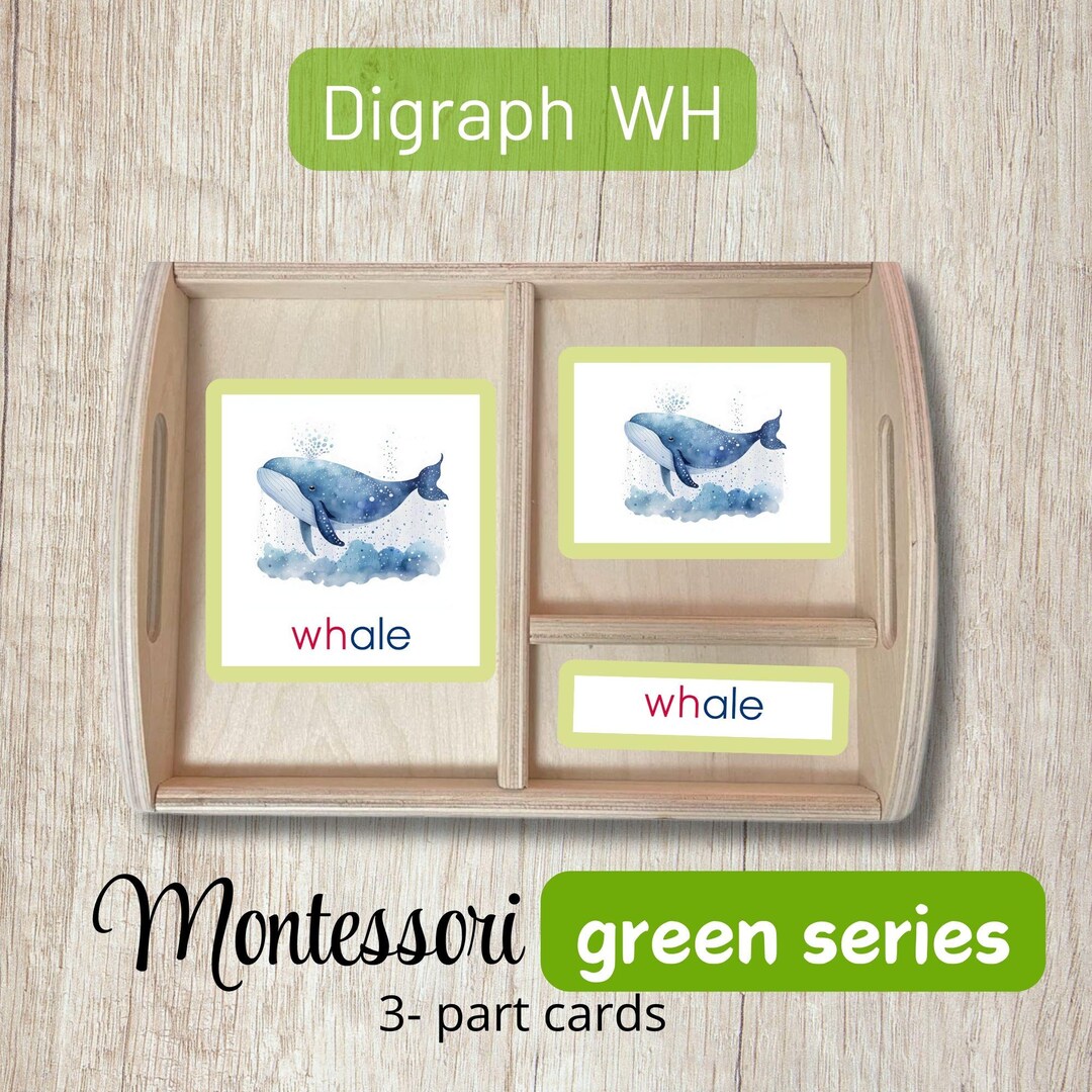 Montessori Green Series Language Cards, Learn to Read Consonant Blends ...