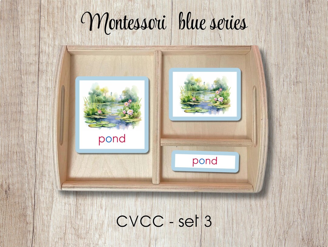 Montessori Blue Series Language Cards, Learn to Read Consonant Blends ...