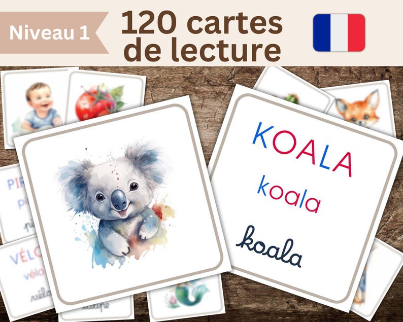 Montessori Reading Cards in French, Phonics Game, Word and Image ...