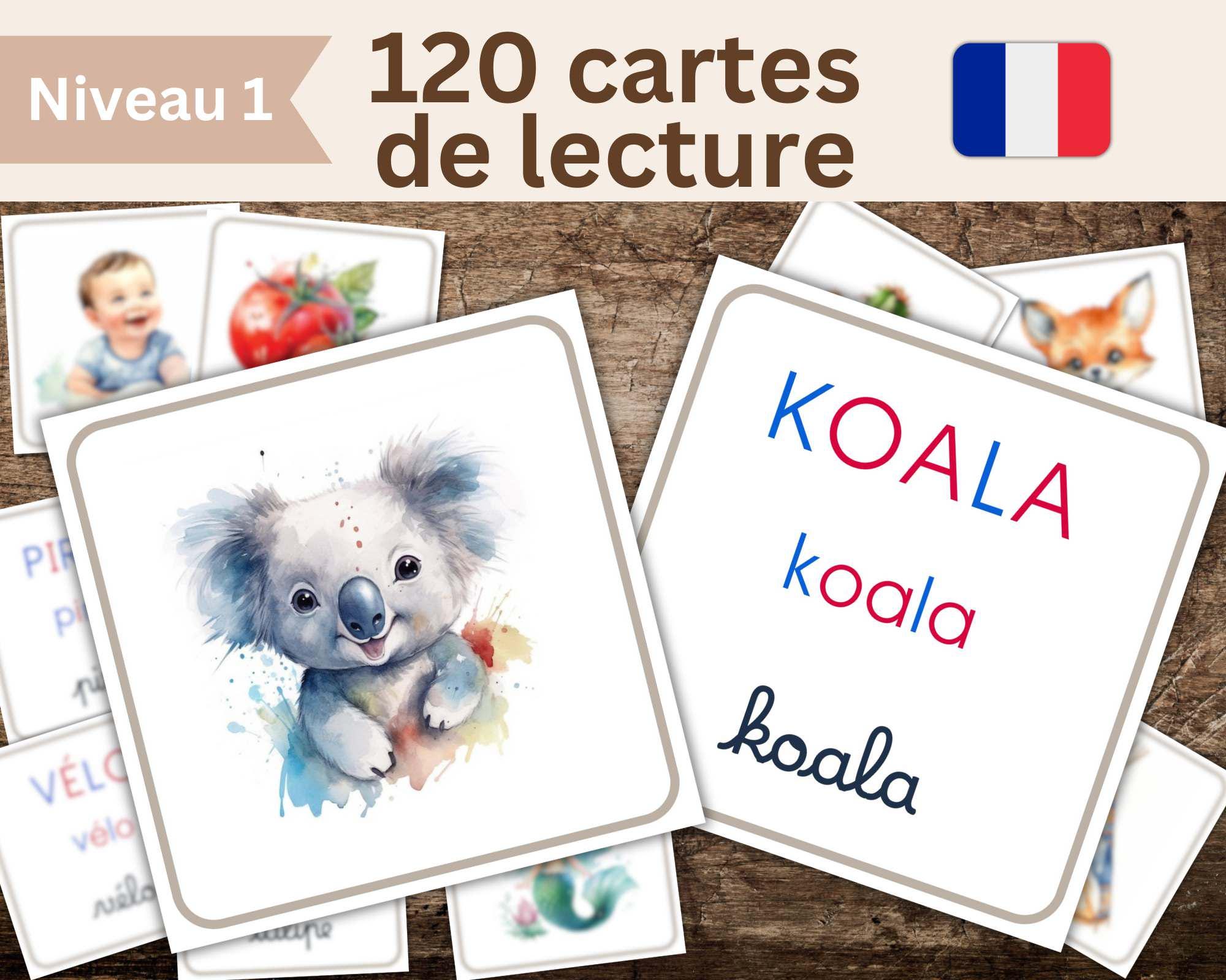 Montessori Reading Cards in French, Phonics Game, Word and Image ...