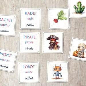 Montessori Reading Cards in French, Phonics Game, Word and Image ...