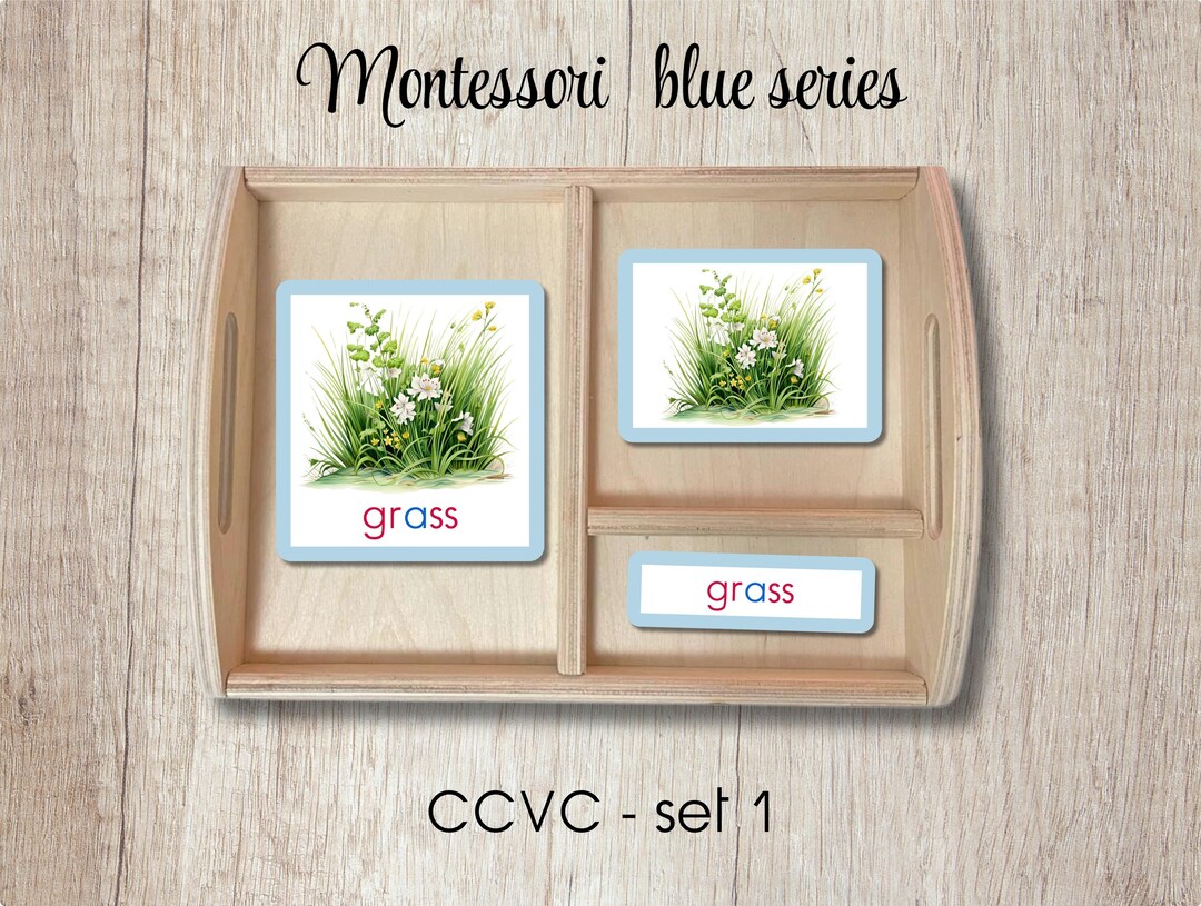 Montessori Blue Series Language Cards, Learn to Read Consonant Blends ...