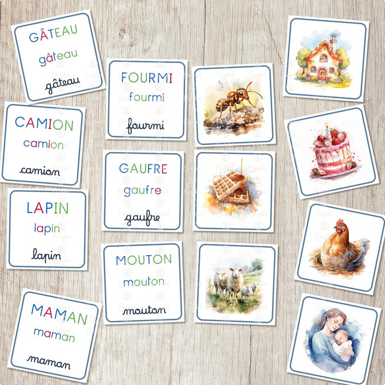 Montessori Series Reading Cards, Learning to Read in French – Beginner ...