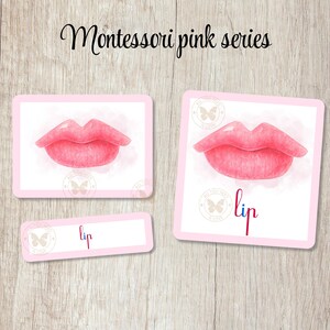 CVC, Word Short I, Pink Series Montessori, Kindergarten Printable ...