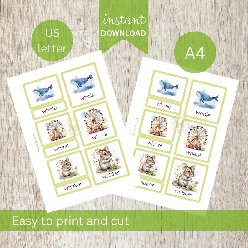 Montessori Green Series Language Cards, Learn to Read Consonant Blends ...