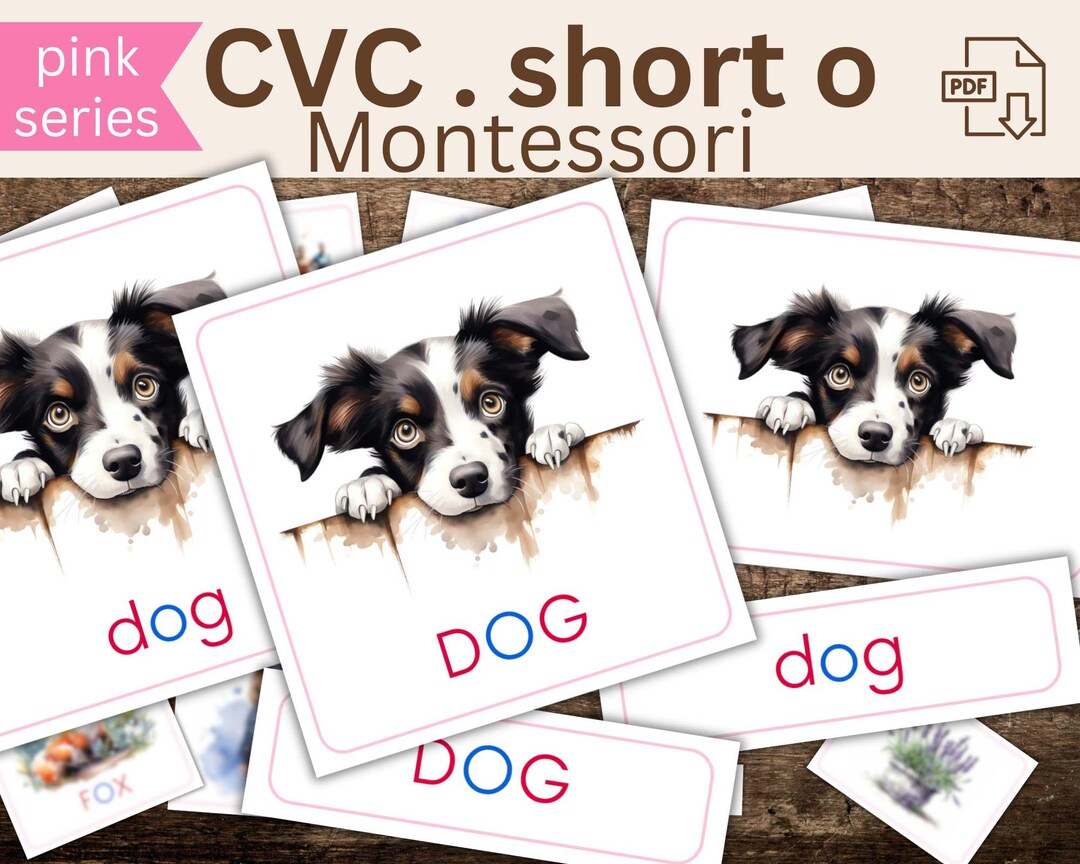 CVC Cards Short O Montessori PDF, Learn English Preschool, Phonics ...