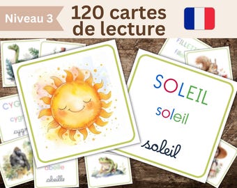Montessori Series Reading Cards, Learning to Read in French – Beginner ...