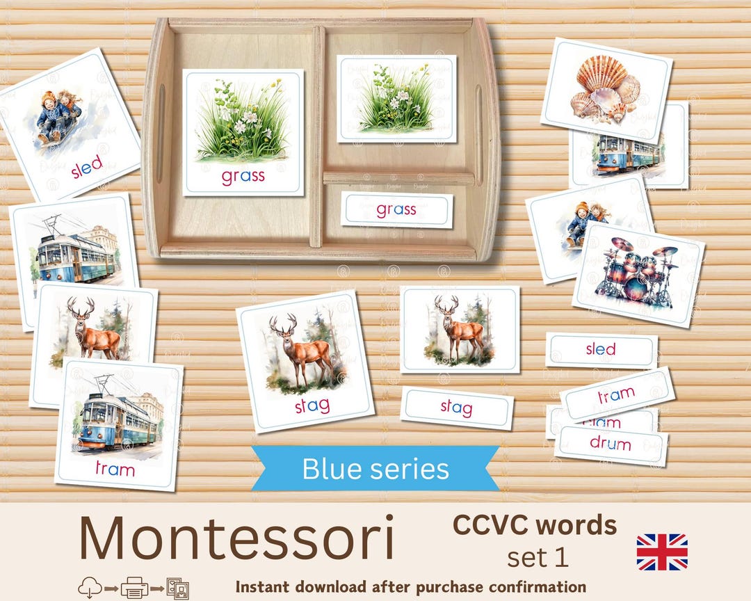 Montessori CCVC Words English – Blue Series – Printable Reading Cards ...