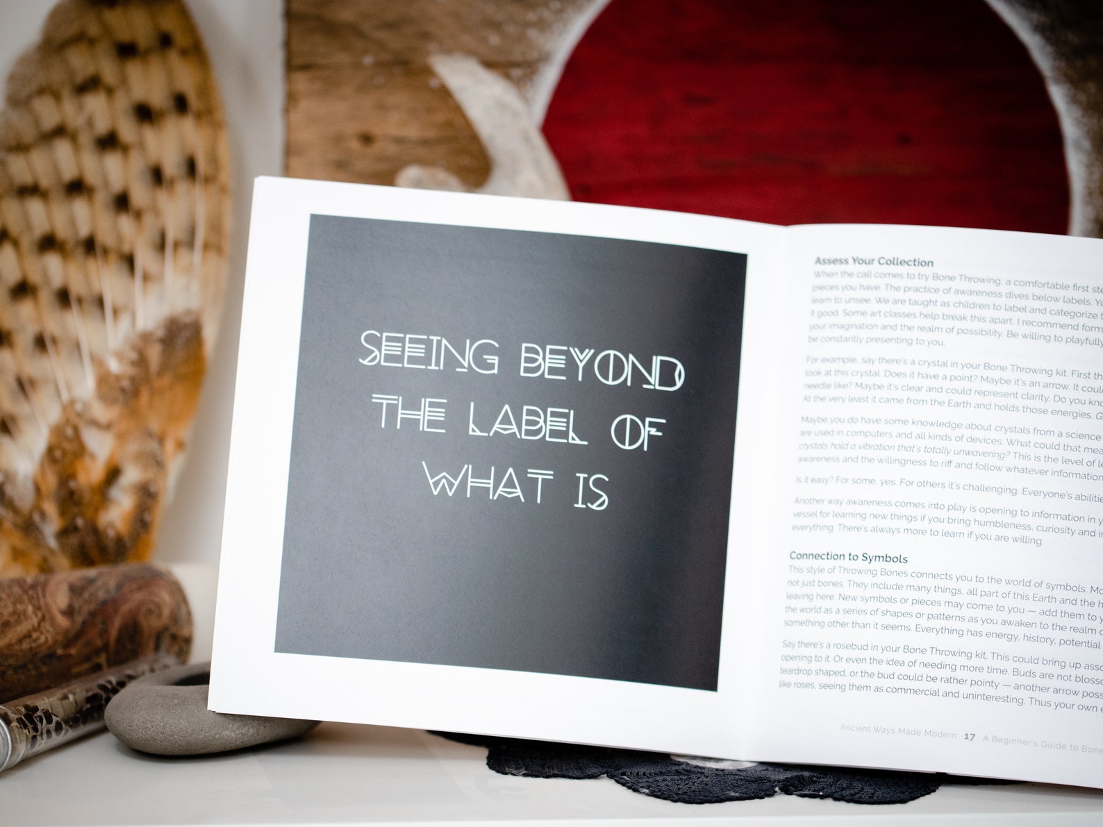 Learn Bone Throwing, A Beginner's Guide to Bone Throwing Book, How to ...