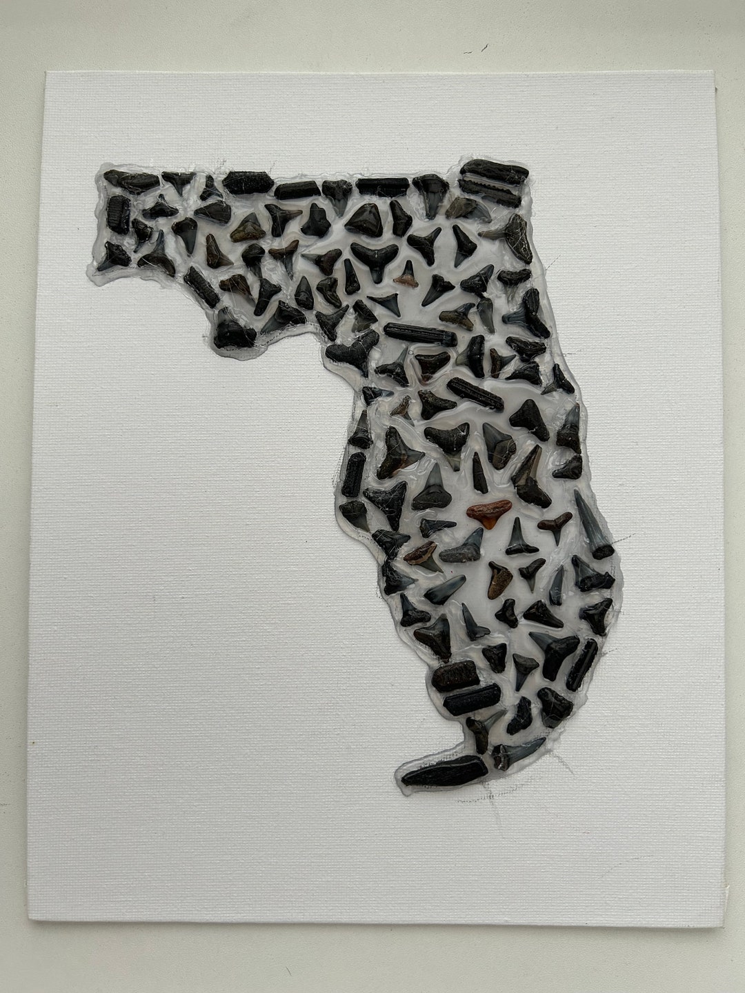 Florida Shark Tooth Canvass Board 8x10 - Etsy