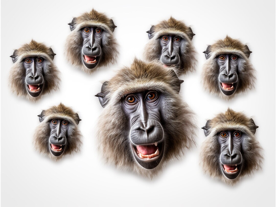 Moneky PNG, Watercolor Simian Clipart Set, Jungle Animals - Etsy