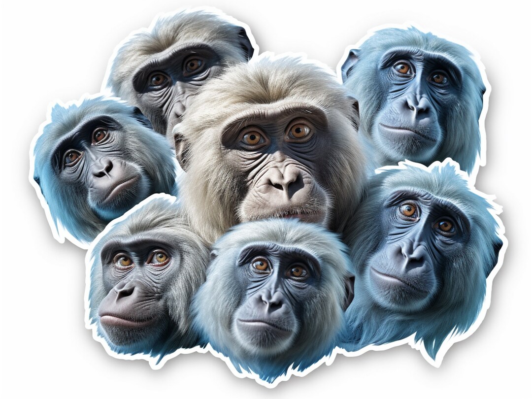 Moneky PNG, Watercolor Simian Clipart Set, Jungle Animals - Etsy