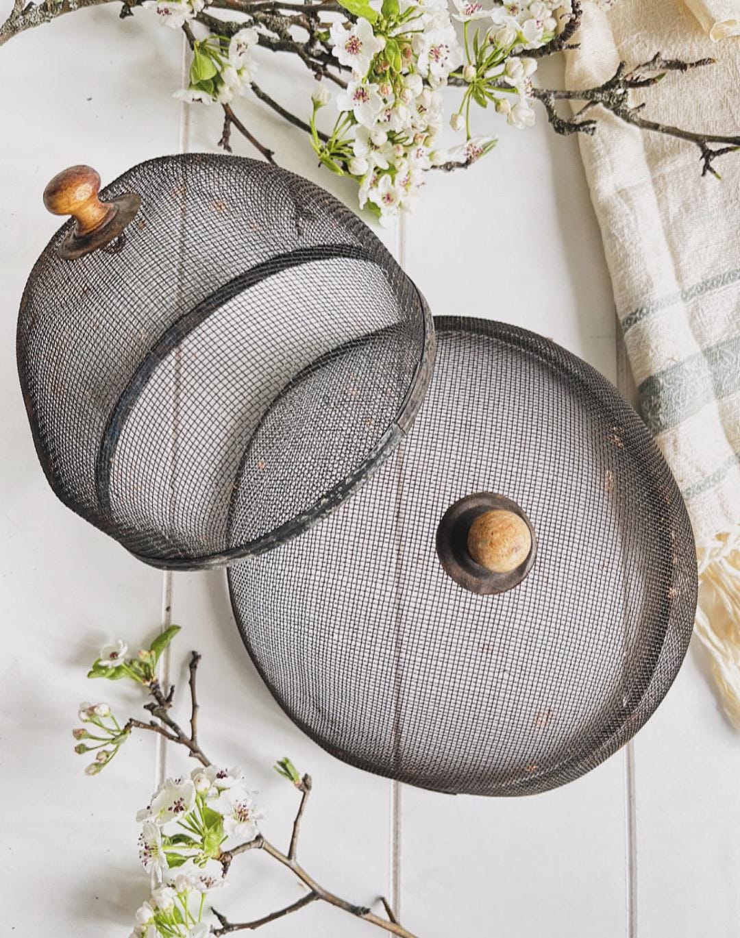 ONE Antique Dome Wire Mesh Food Screen Cover With Wood Handle Knob ...