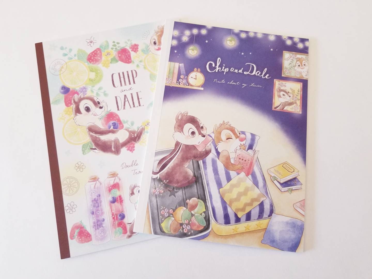 Disney Japan Chip and Dale Notebook imported fruit relax | Etsy