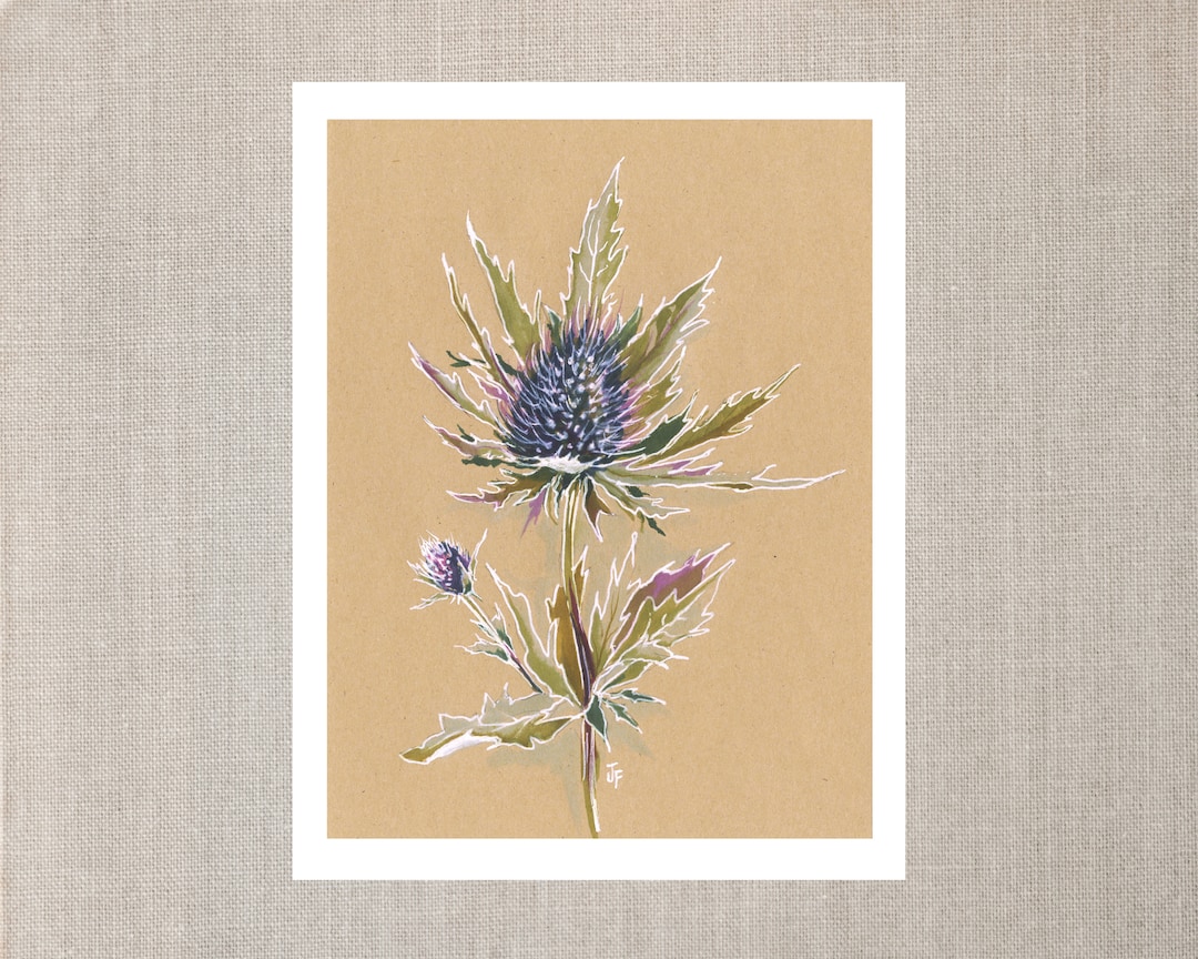 Thistle Flower Print or Botanical Wall Art Set of 3 | 8" X 10" Unframed ...