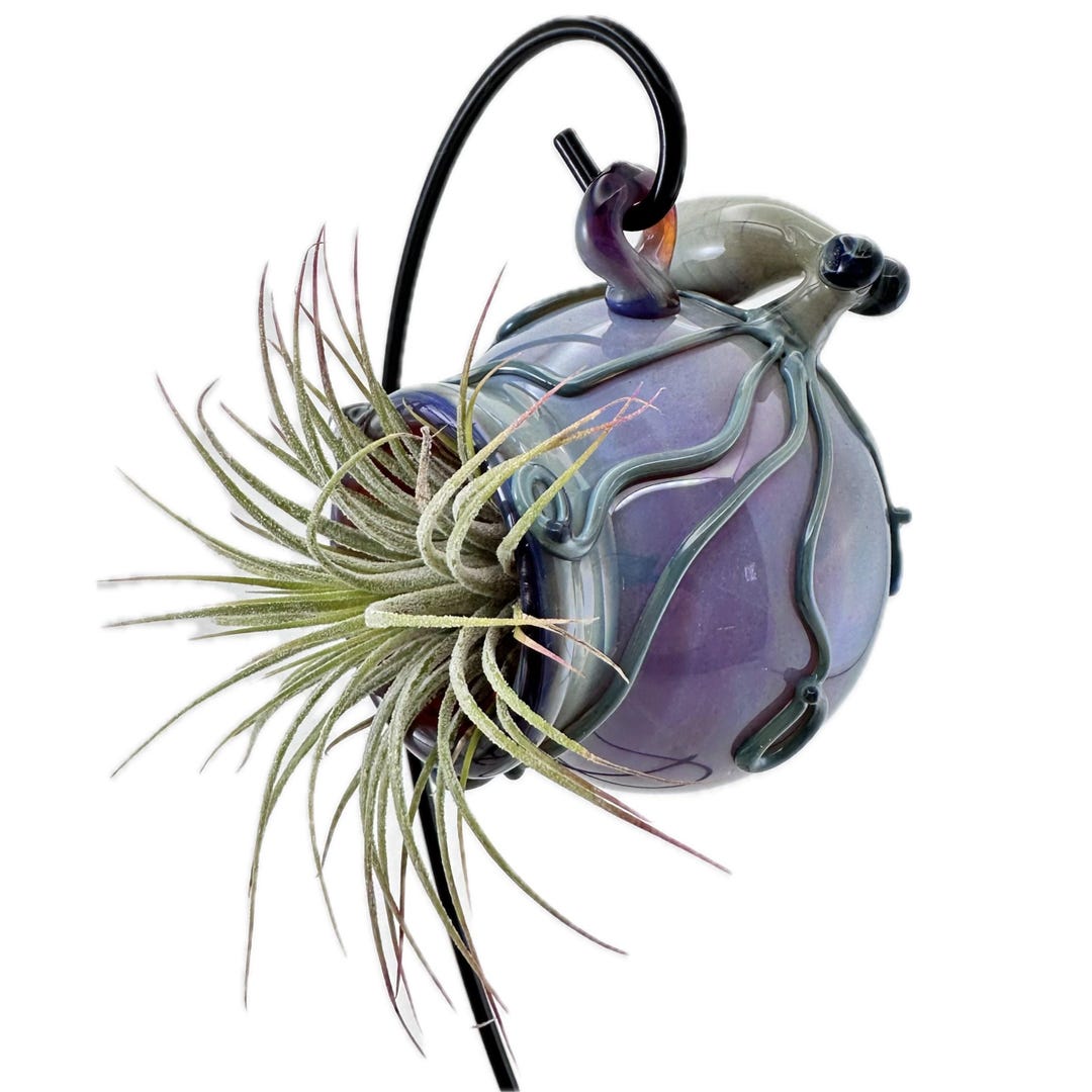 Octopus Glass Terrarium. Hand Blown Amber Purple Hanging Globe With ...
