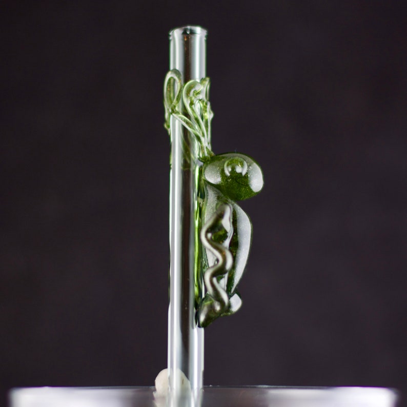 Cuttlefish Straw / Glass Drinking Straw / Mason Jar Straw / | Etsy