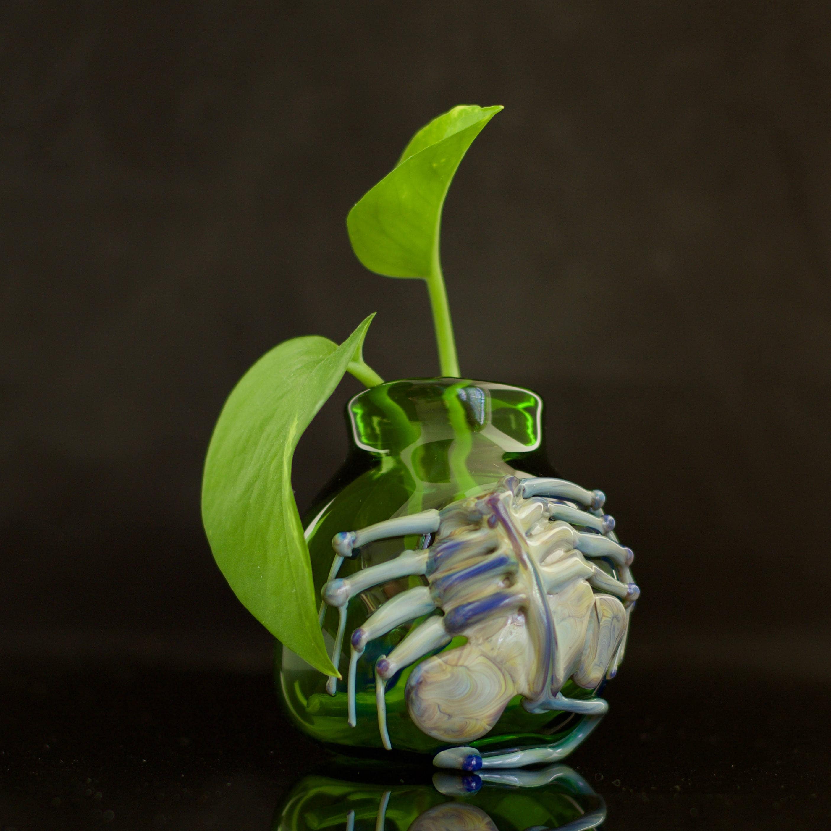 Facehugger Alien Glass Globe Terrarium in Your Choice of Color