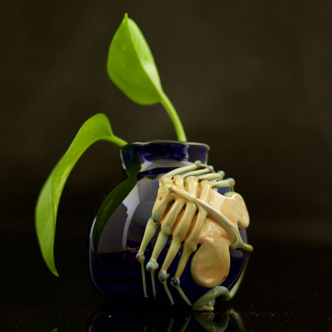 Facehugger Glass Globe Terrarium / Alien Movie / Air Plant / | Etsy