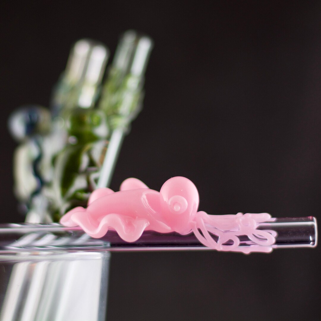 Cuttlefish Straw / Glass Drinking Straw / Mason Jar Straw / BPA Free ...