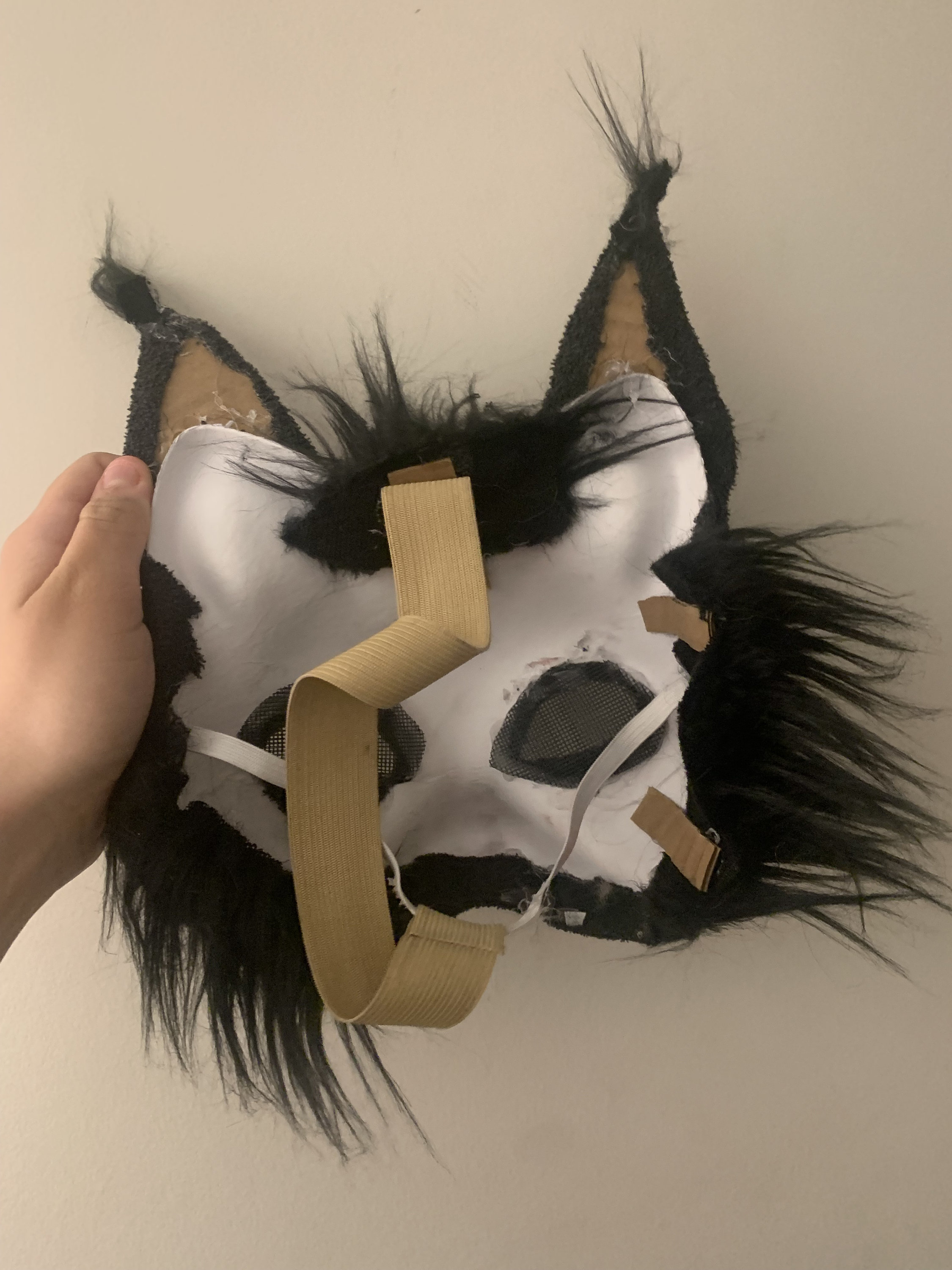 Maincoon Cat Therian Quadrobics Mask Low Medium Quality Good Eye