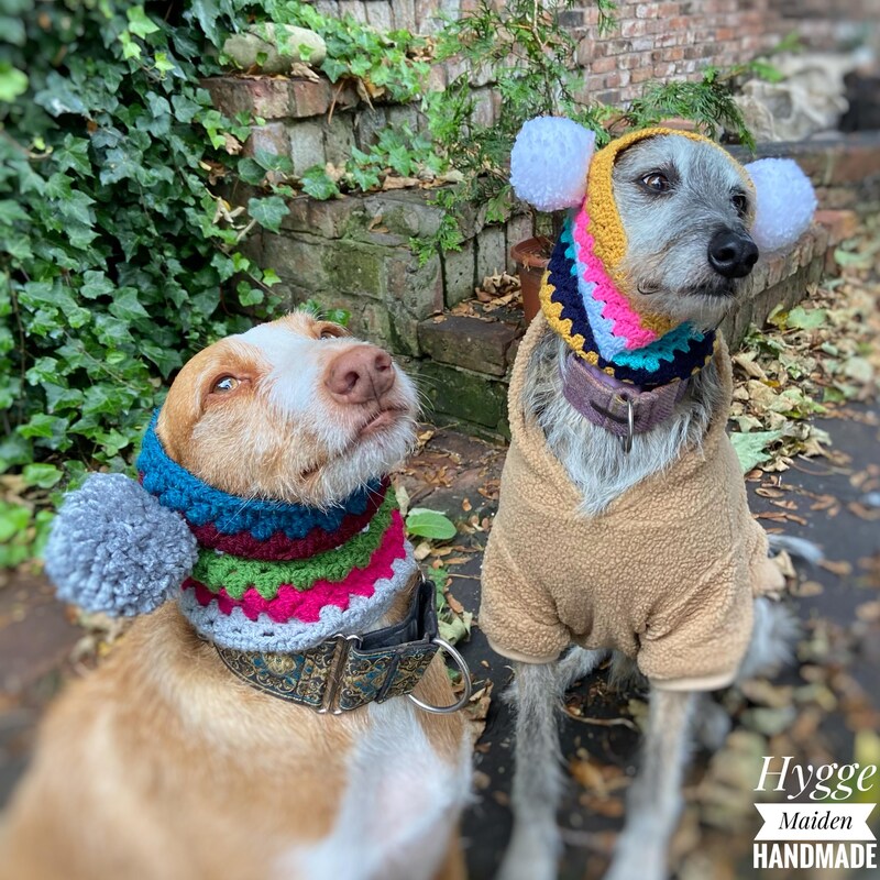 Greyhound Snood - Etsy