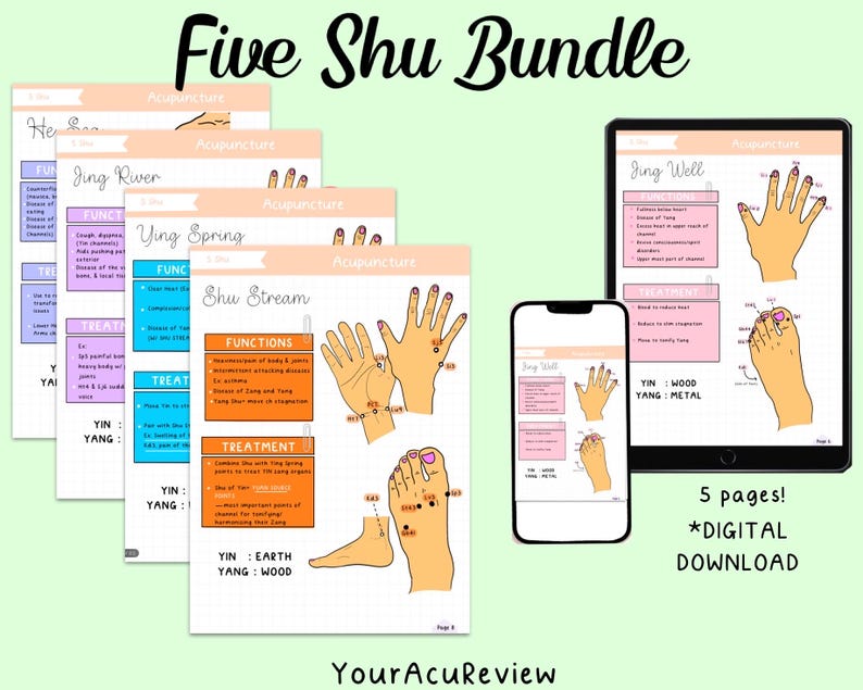 5 Shu Acupuncture Point Charts Digital Study Guides Acupuncture Student ...