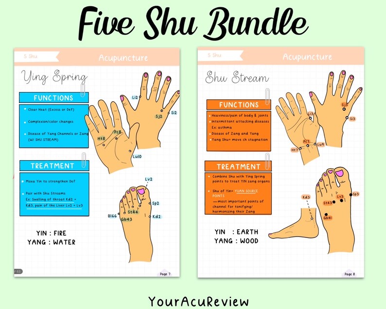 5 Shu Acupuncture Point Charts Digital Study Guides Acupuncture Student ...