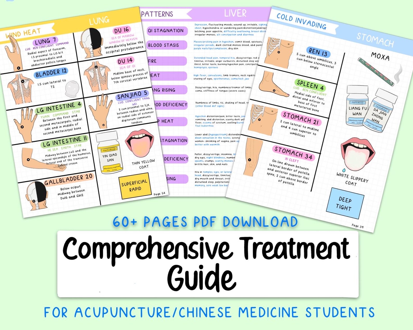 Acupuncture Comprehensive Treatment Guide for Acupuncture/chinese ...