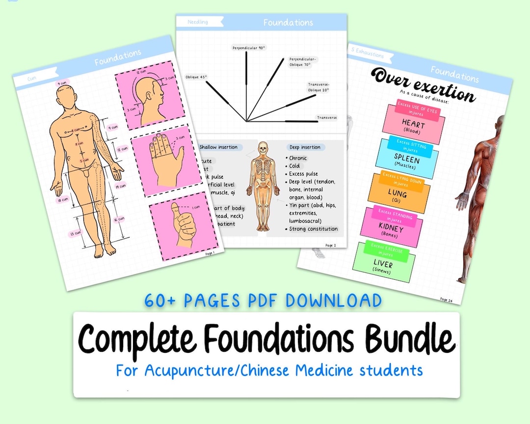 Foundations Acupuncture Study Guide Bundle for Acupuncture/chinese ...