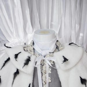 Majestic Royal Cloak for Men Perfect King and Cosplay Costume for ...