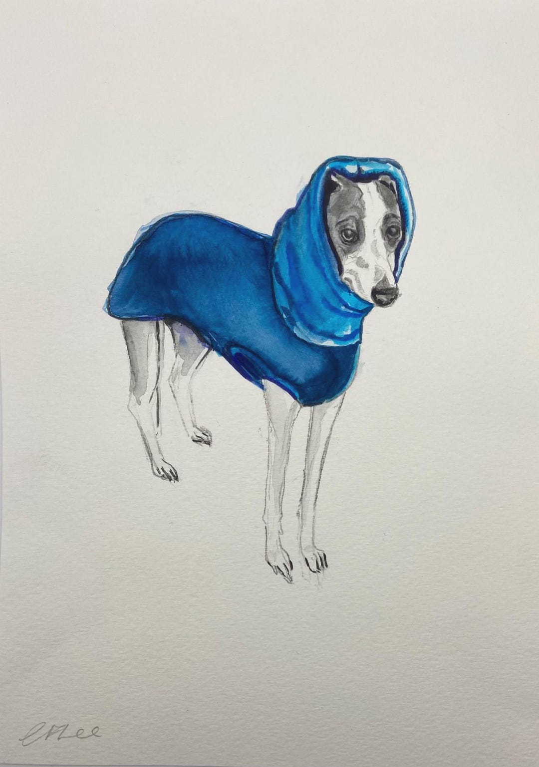 Original A4 'cold Whippet' Illustration - Etsy