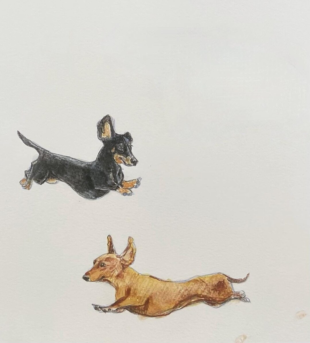 Dachshunds Jumping Print - Etsy
